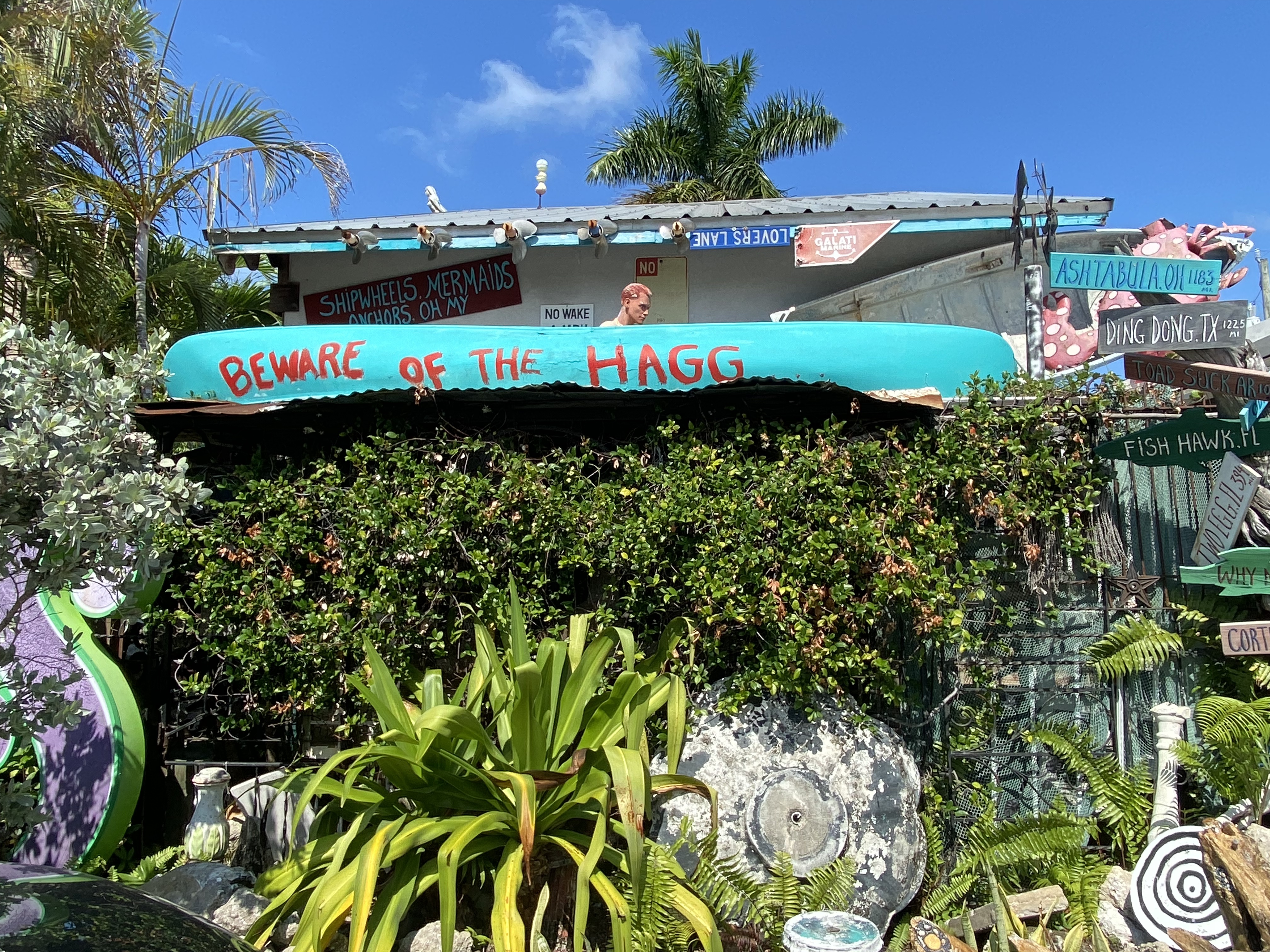 Be Aware of the Hagg (she’s still here) | The Sea Hagg
